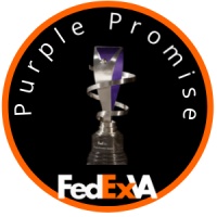http://fedexvirtual.crewsystem.net